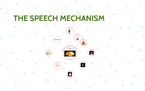 THE SPEECH MECHANISM by magdalena fournier on Prezi