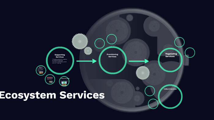 Ecosystem Services by Tim Aubin on Prezi
