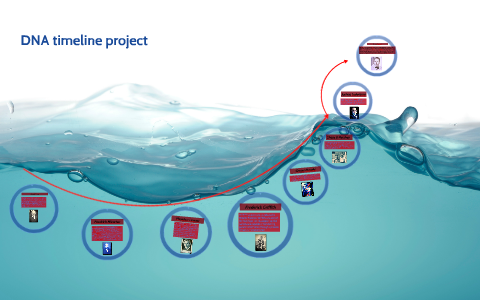 DNA timeline project by jordyn rodriguez on Prezi