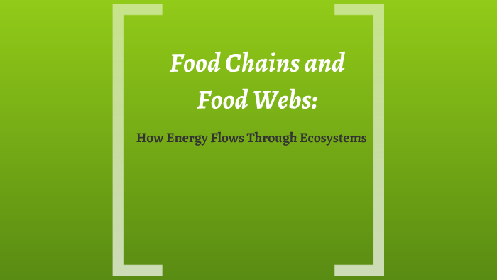 Food Chains by Tracy Hering on Prezi