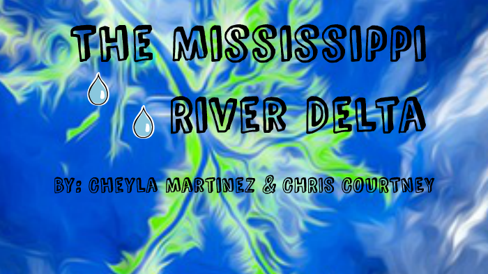 The Mississippi River Delta by Cheyla Martinez
