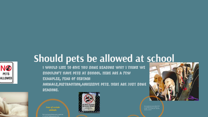 Should pets be allowed at school by alexus tran on Prezi