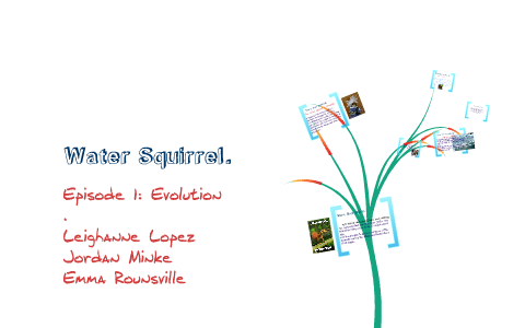 Water Squirrel Evolution by Lilly Lopez on Prezi