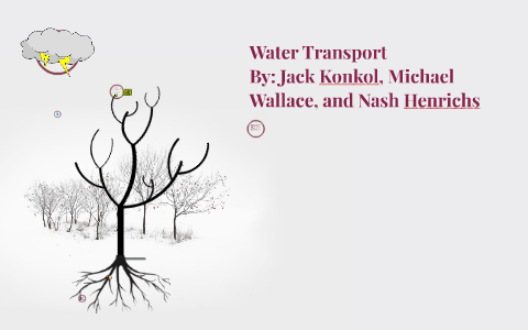 Water Transport Model by Jack Konkol on Prezi