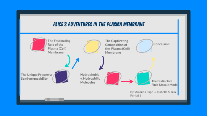 Tour of the Cell Membrane by amanda papp on Prezi