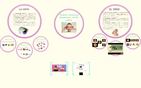 La percepción visual es la capacidad que tiene el individuo by RENEE ...