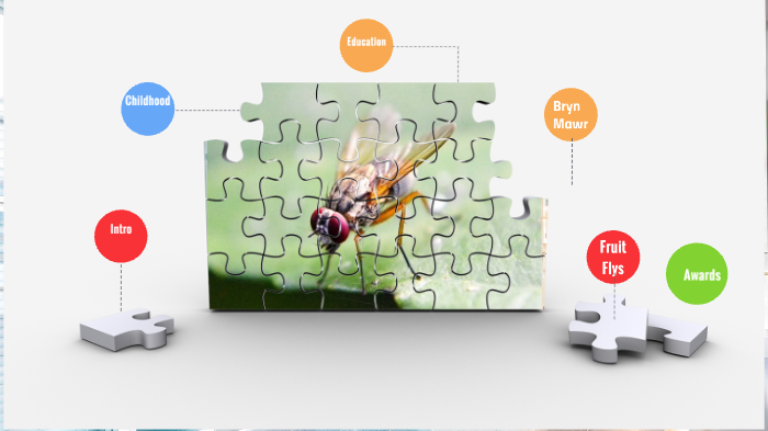 Thomas Hunt Morgan by Ashleigh Lakey on Prezi