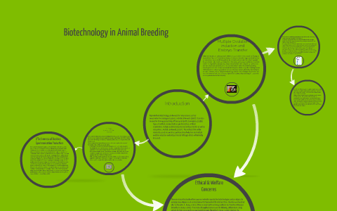 Biotechnology in Animal Breeding by Tania, Chloe, Bryony Breeding on Prezi