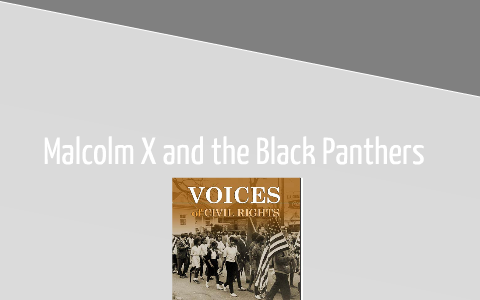 Malcolm X and the Black Panthers affect the goals of the civil rights ...