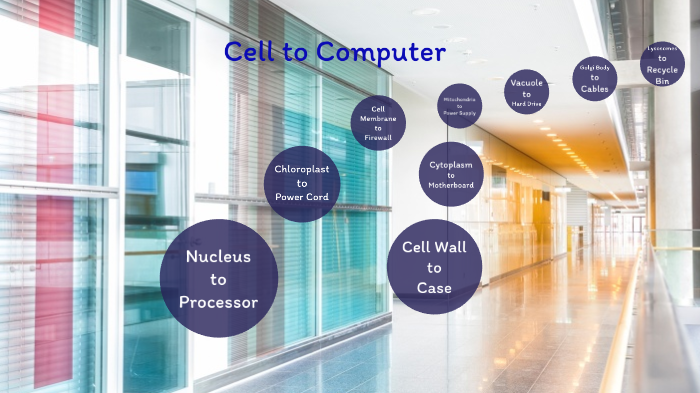 Cell to Computer Analogy by Jacob Sanford on Prezi