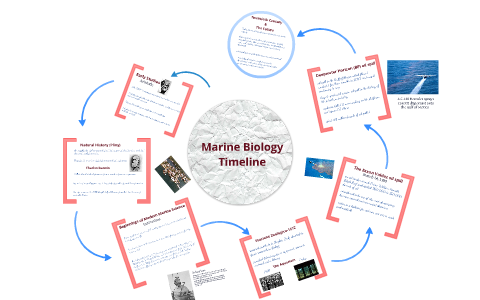 Marine Biology Timeline by Brianna Benhamou on Prezi