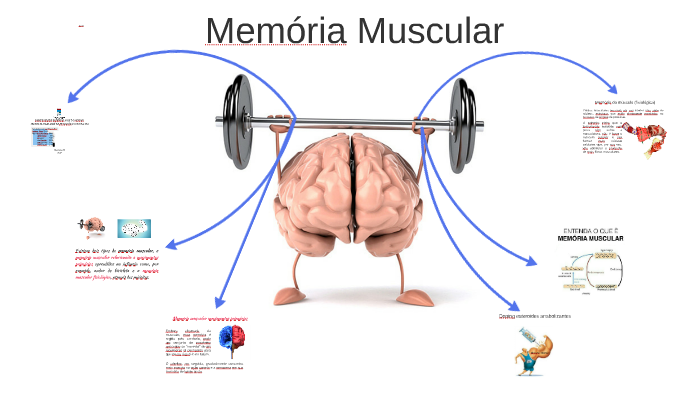 Memória Muscular by Ayrton Senna on Prezi