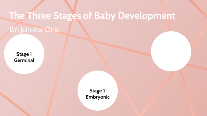 The Three Stages of Baby Development by Jennifer Cline on Prezi