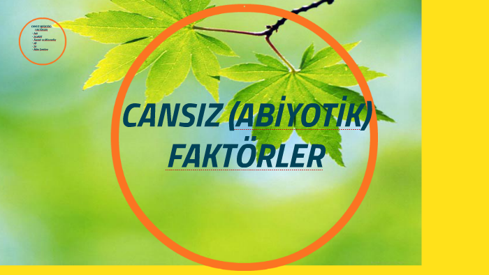 Abiyotik Faktörler Resimleri