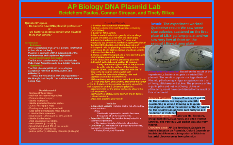 AP Bio DNA Plasmid Lab by Betelehem Paulos on Prezi