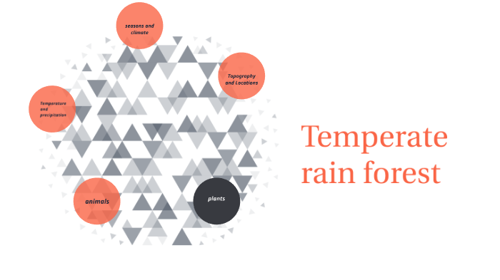 temperate rainforest biome presentation by Skylar North on Prezi