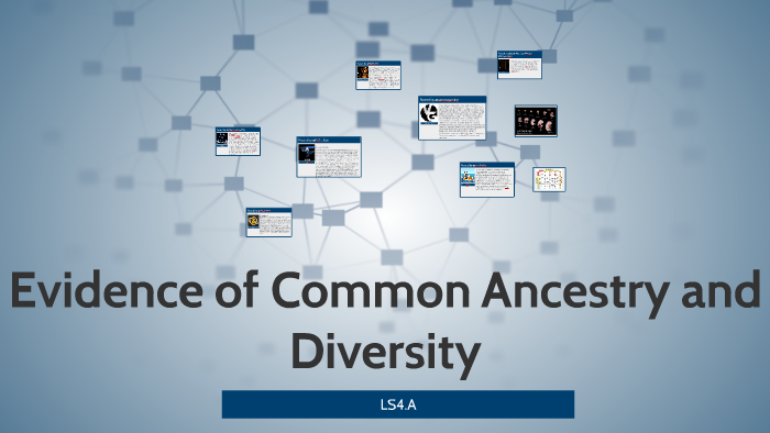 Evidence of Common Ancestry and Diversity by Jacob Mar on Prezi