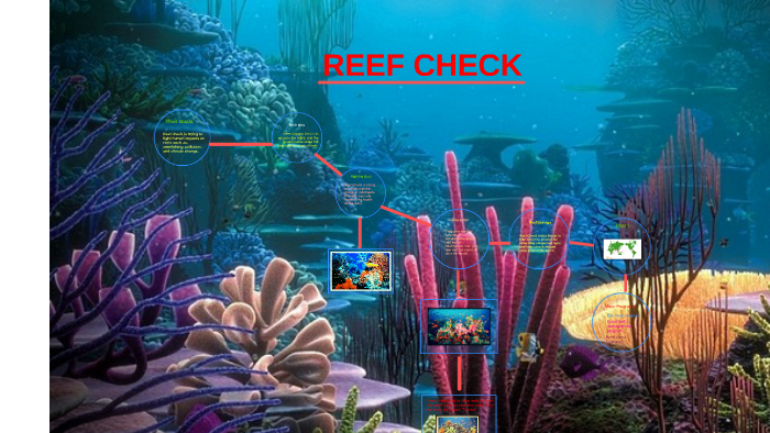 Reef Check by Gage Brett on Prezi