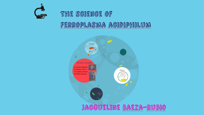 The science of Ferroplasma acidiphilum by jackie Baeza on Prezi