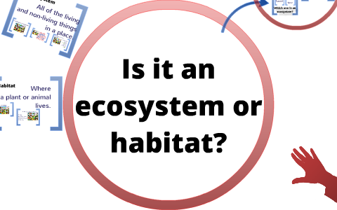 Six Different Ecosystems by Hannah Kingrey on Prezi