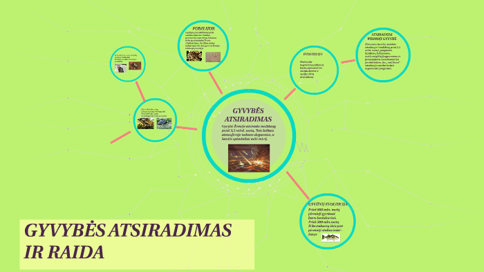 GYVYBĖS ATSIRADIMAS IR RAIDA by Ineta Basevičiūtė on Prezi