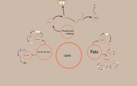 Lipids by Lipids Mindmap on Prezi