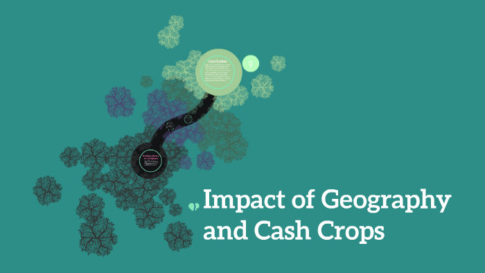 Impact of Geography and Cash Crops by Daphne Smith on Prezi