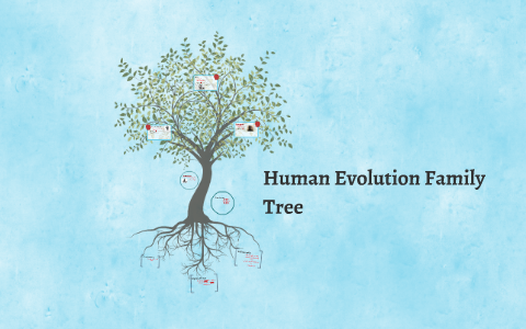 Human Evolution Family Tree by Bryan AMUNDSON on Prezi