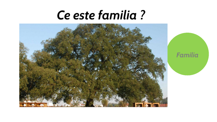 Ce este familia? by Bîrca Maxim on Prezi