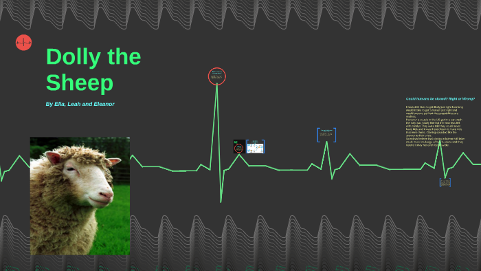 Dolly the Sheep by Eleanor Barratt on Prezi