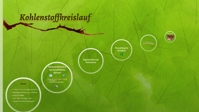 Kohlenstoffkreislauf by Lisa Kast