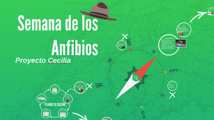 Semana de los Anfibios by Paúl Andrés Martínez García on Prezi Next