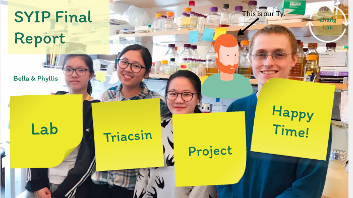 SYIP presentation by 逸洋 刘 on Prezi