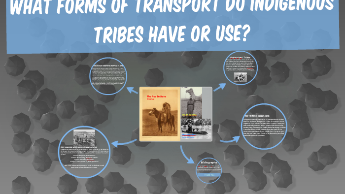 What forms of transport do indigenous tribes have or use? by Baden ...