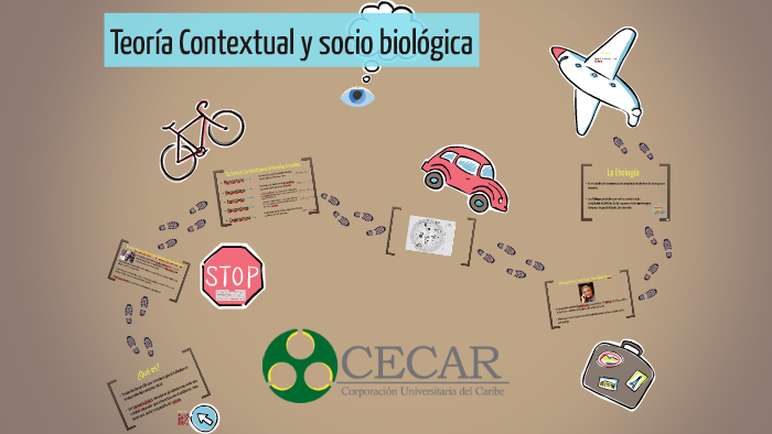 Perspectiva Contextual y evolutiva sociobiológica by Kelly Stephany ...