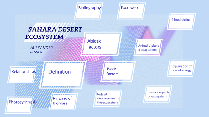 SAHARA DESERT ECOSYSTEM by Alexander Beatrice on Prezi