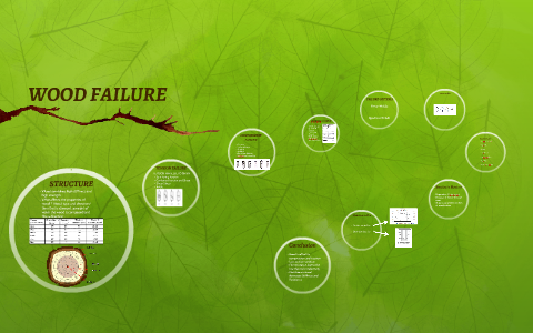 WOOD FAILURE by Plan Empresa on Prezi