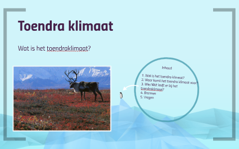 toendra klimaat by Twan Kusters on Prezi