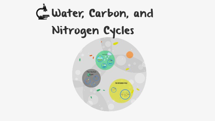 Water, Carbon, and Nitrogen Cycles by Scout Odegaard on Prezi
