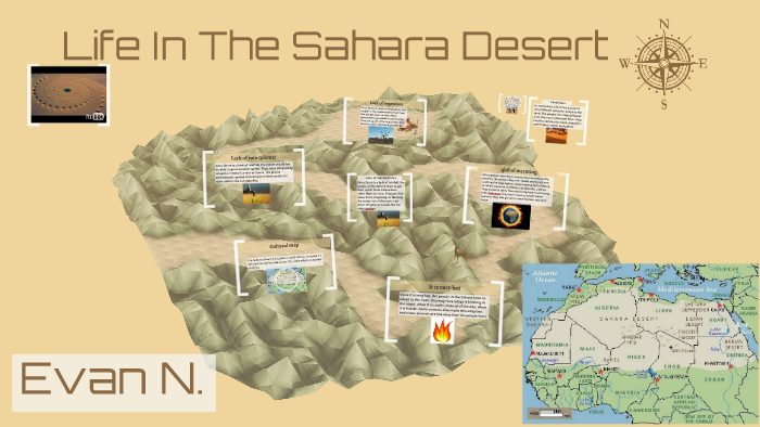 Life In The Sahara Desert by evan newcombe on Prezi