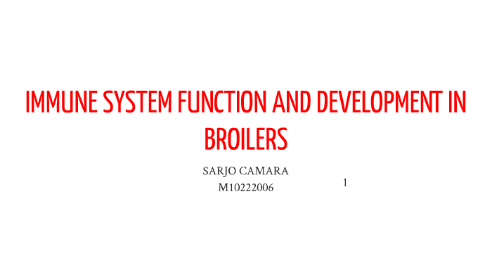 IMMUNE SYSTEM FUNCTION AND DEVELOPMENT IN BROILERS by Sarjo Camara on Prezi