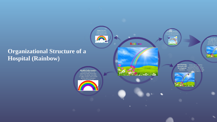 Organizational Structure (Rainbow) by Alyssa Hoeck on Prezi