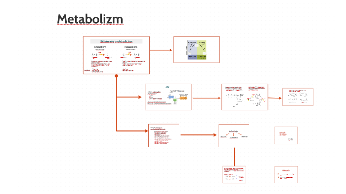 Metabolizm by Kinga Frąc on Prezi