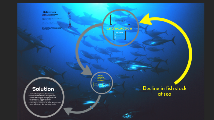 Decline in fish stock at sea by hamed albusaidi on Prezi