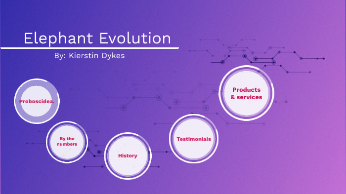 Elephant Timeline by Kierstin Dykes on Prezi