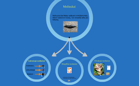 Moliuskai by Ričardas Pagojus on Prezi