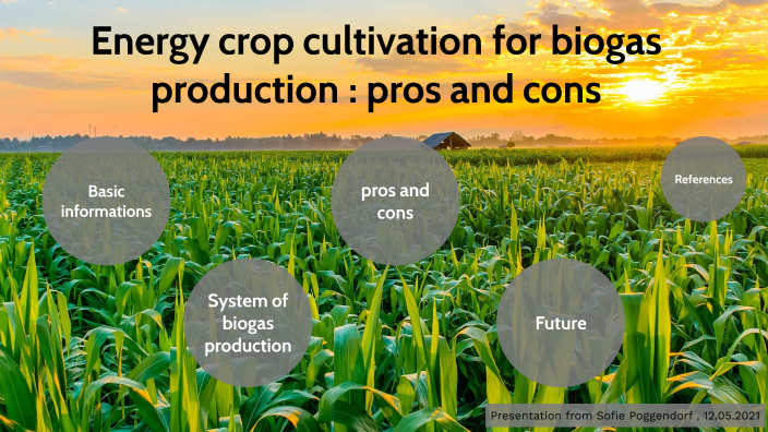 Energy Crops for biogas production by Sofie Poggendorf on Prezi