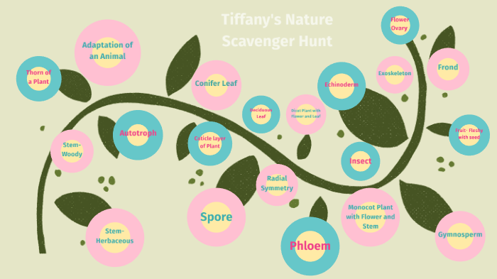 AP Biology Scavenger Hunt by Tiffany Acosta on Prezi