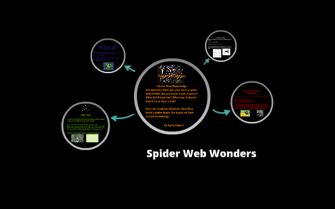 Spider Web Wonders by on Prezi