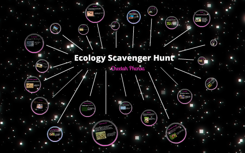 Ecology Scavenger Hunt by Sheila Phonsa on Prezi